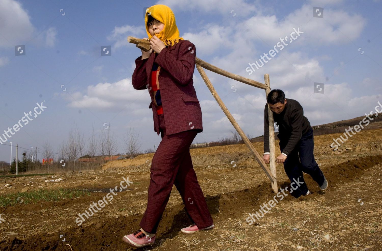 Couple Farmer Use Traditional Plowshare Plough Editorial Stock Photo ...