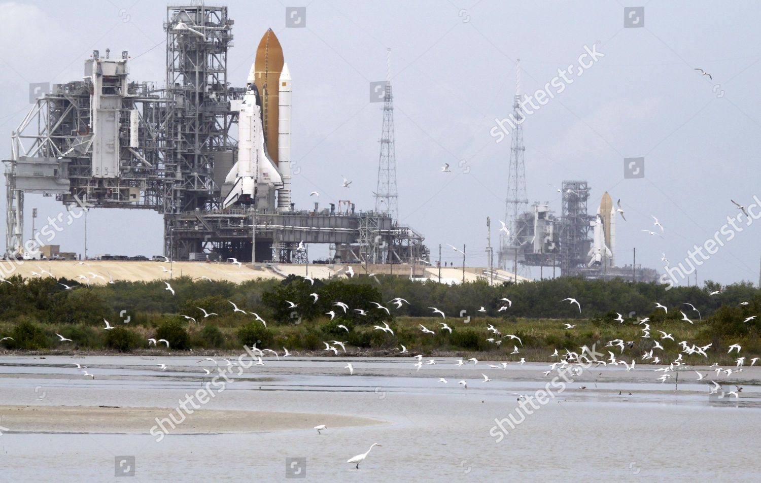 Group Water Birds Lift Off Their Editorial Stock Photo - Stock Image ...