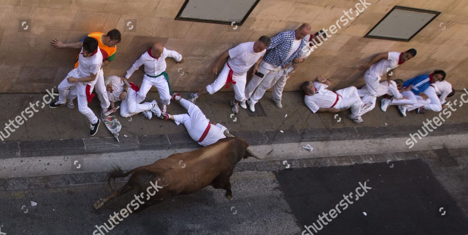 Fighting Bull Ranch Jandilla Stampedes During Editorial Stock Photo ...