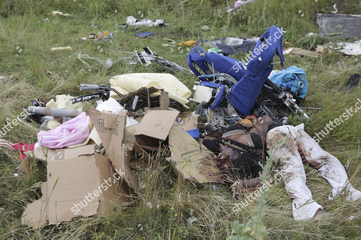 Dead Bodies Between Debris Boeing 777 Editorial Stock Photo - Stock ...