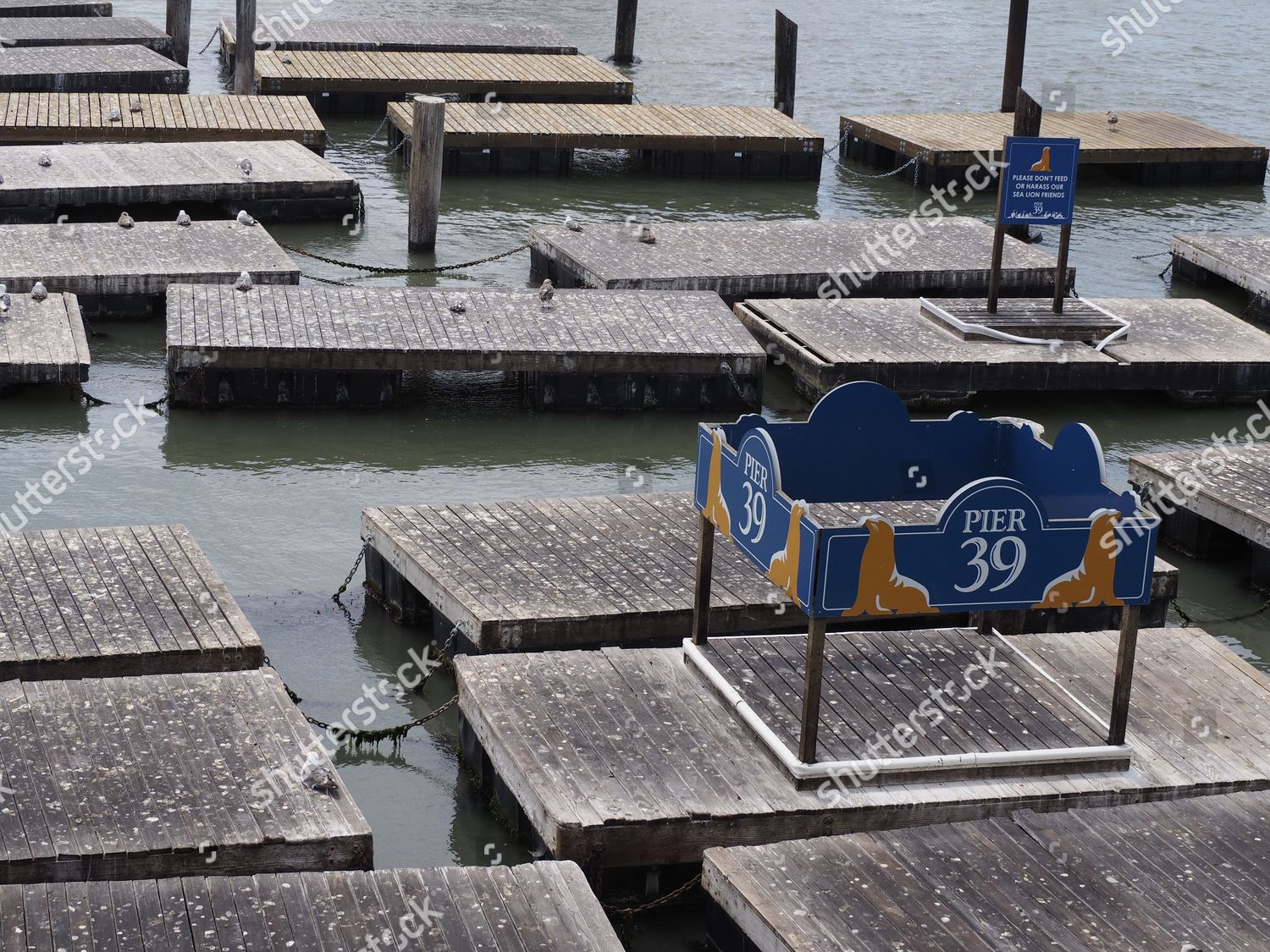 Empty Docks Which Usually Homes Hundreds Editorial Stock Photo - Stock ...
