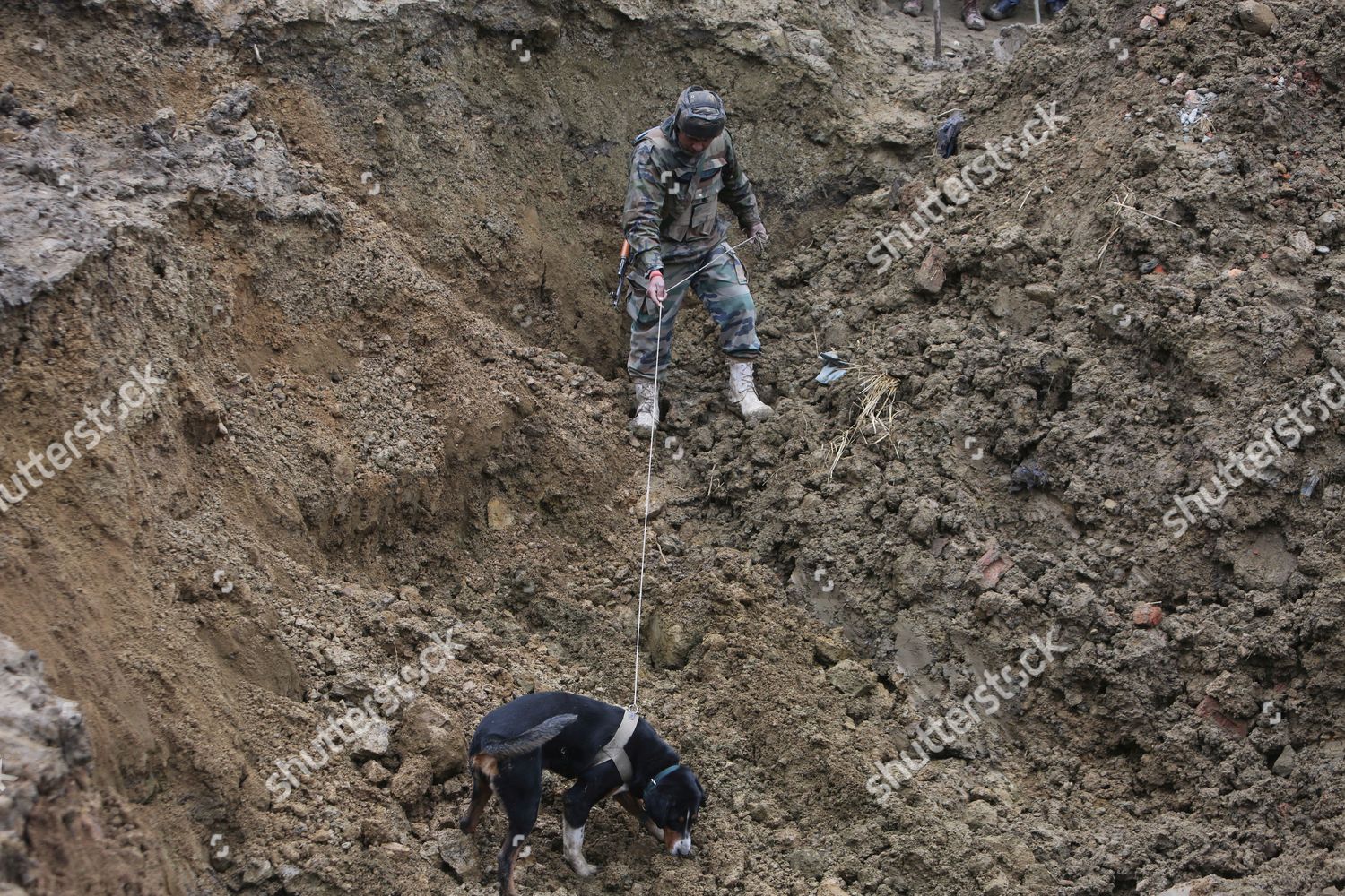 Indian Army Sniffer Dog Searches Victims Editorial Stock Photo - Stock ...