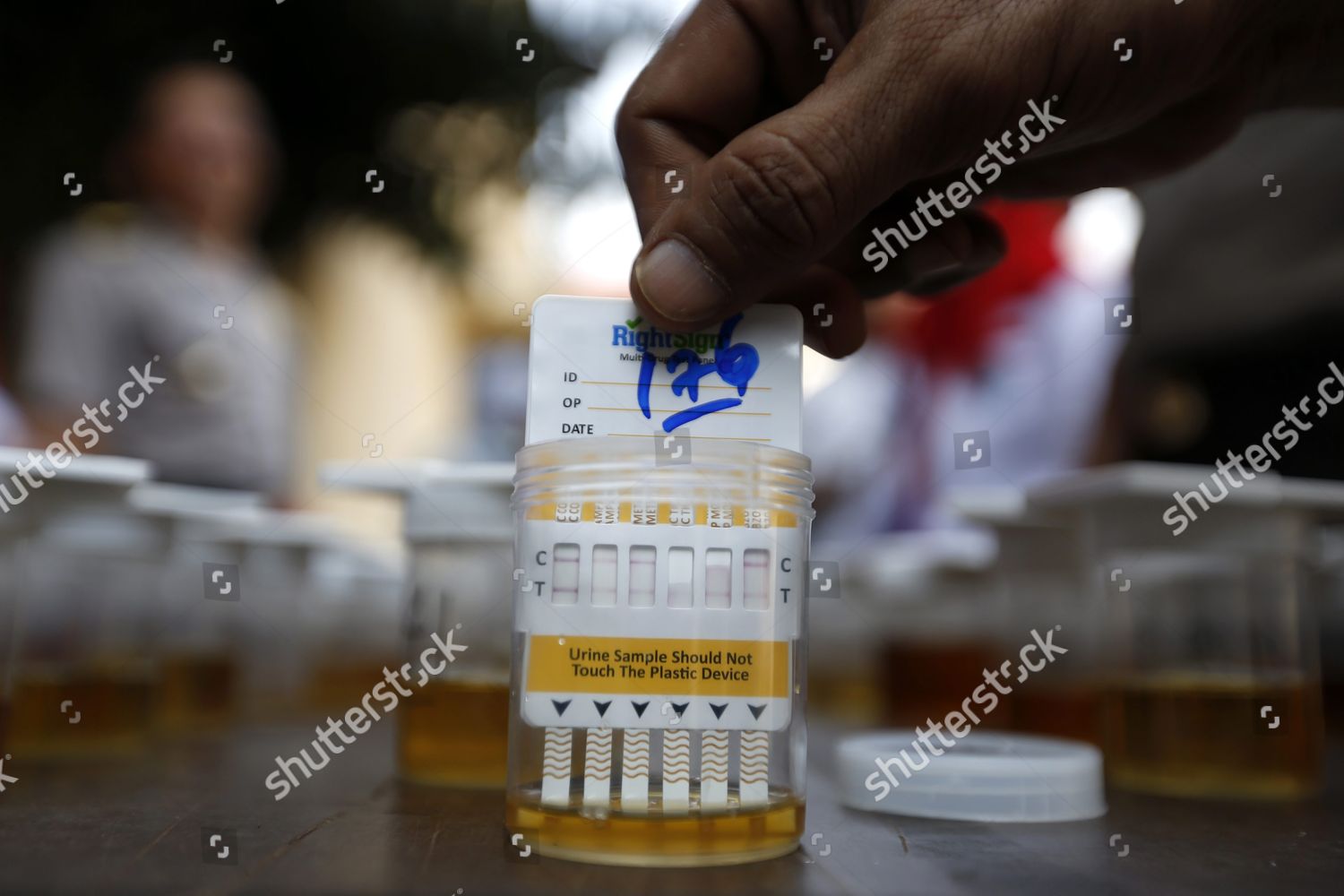 Technician Labels Urine Sample During Drug Editorial Stock Photo ...