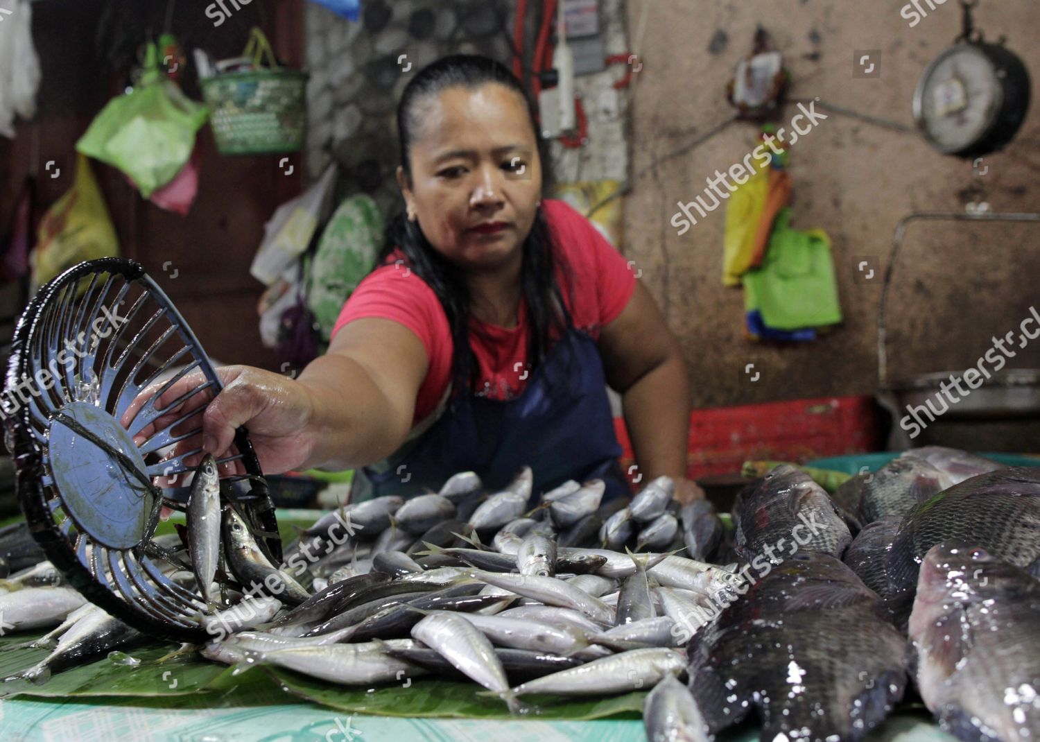Filipino Vendor Sells Fish Public Market Editorial Stock Photo - Stock ...