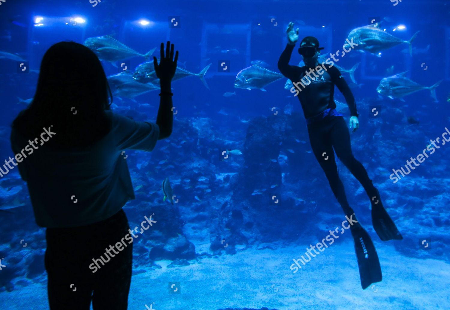 Freediver Waves Visitor Open Ocean Exhibit Editorial Stock Photo ...