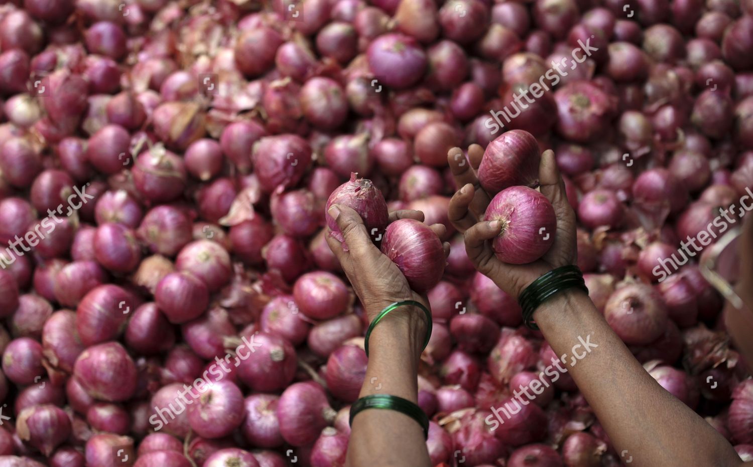 Indian Vendor Checks Quality Onions Onion Editorial Stock Photo - Stock ...