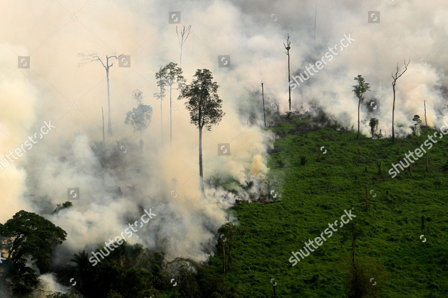 Aerial Photo Shows Thick Smoke Rising Editorial Stock Photo - Stock ...