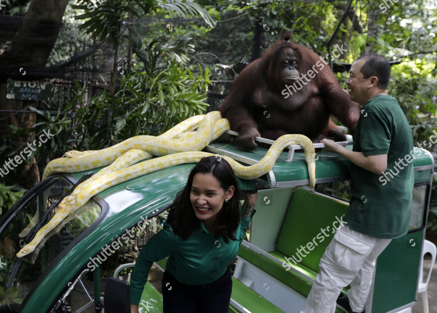Filipino Zoo Owner Manny Tangco R Editorial Stock Photo - Stock Image ...