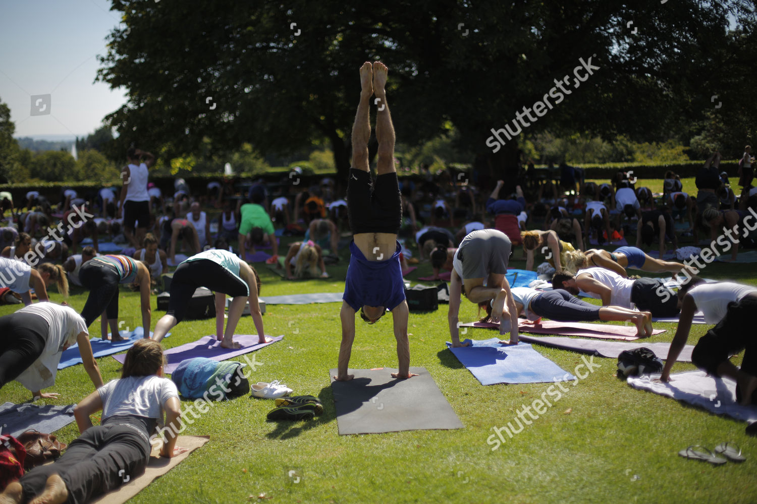 Yogi C Stands Pose Others Perform Editorial Stock Photo - Stock Image ...