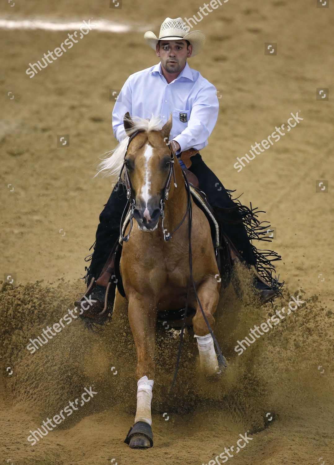 German Rider Alexander Ripper On Horse Editorial Stock Photo - Stock ...
