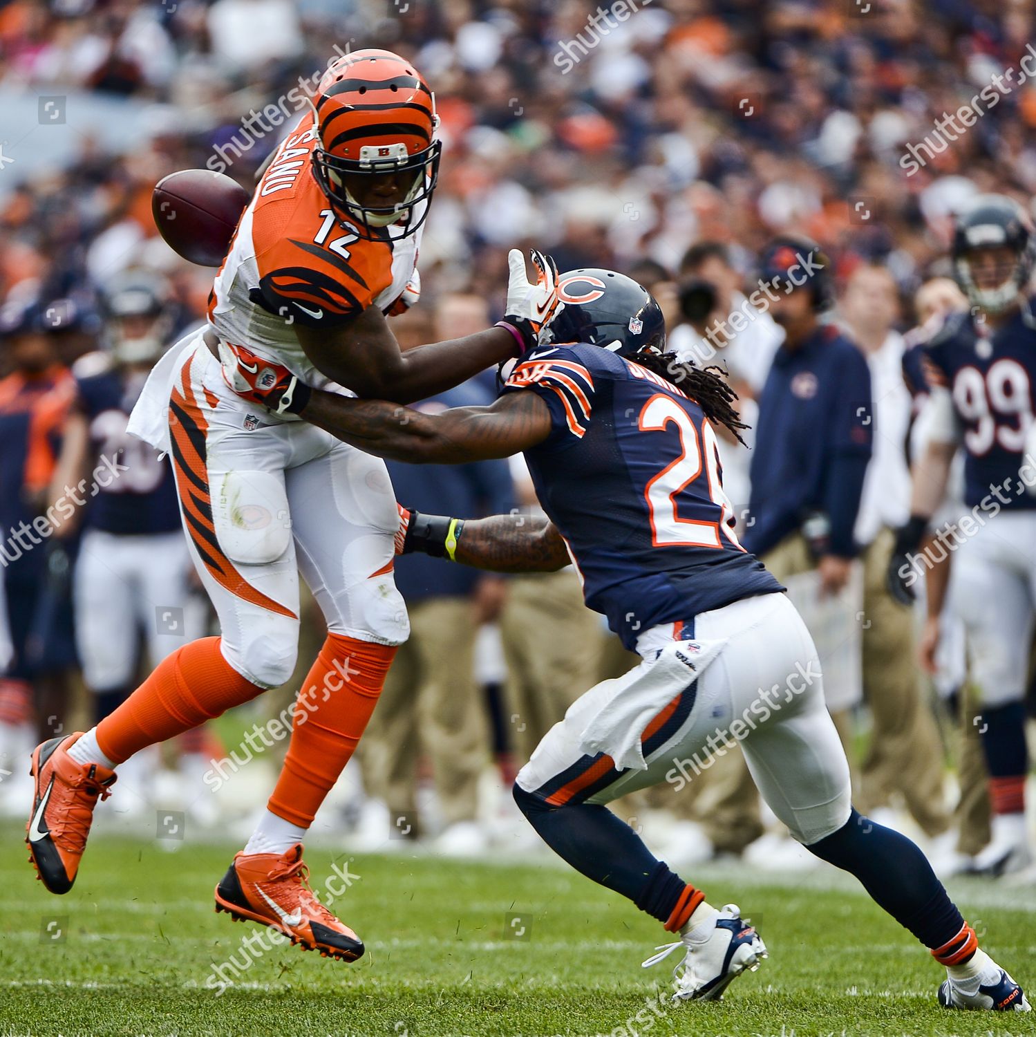 Chicago Bears Cornerback Tim Jennings R Editorial Stock Photo - Stock ...