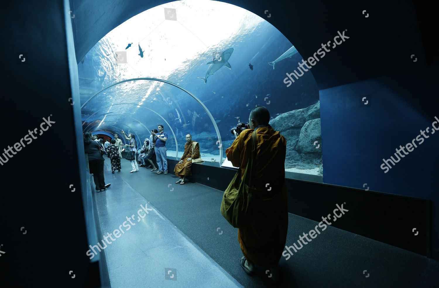 Monks Take Photographs Each Other Shark Editorial Stock Photo - Stock ...