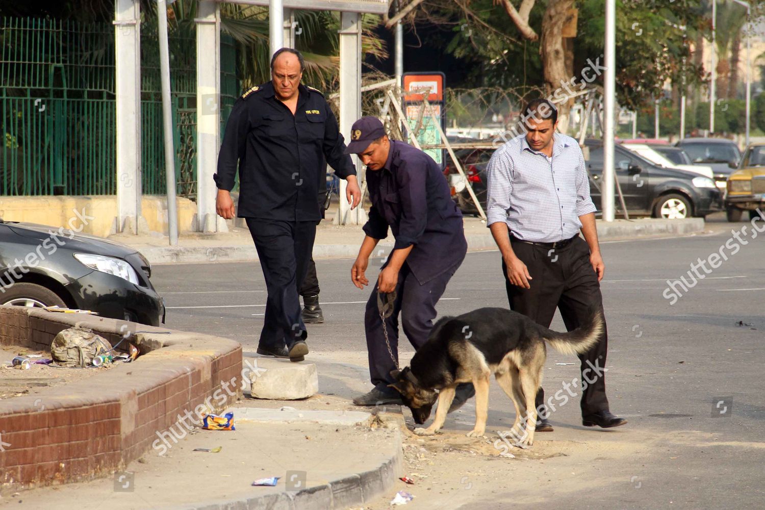 Egyptian Security Officials Bomb Sniffing Dog Editorial Stock Photo ...