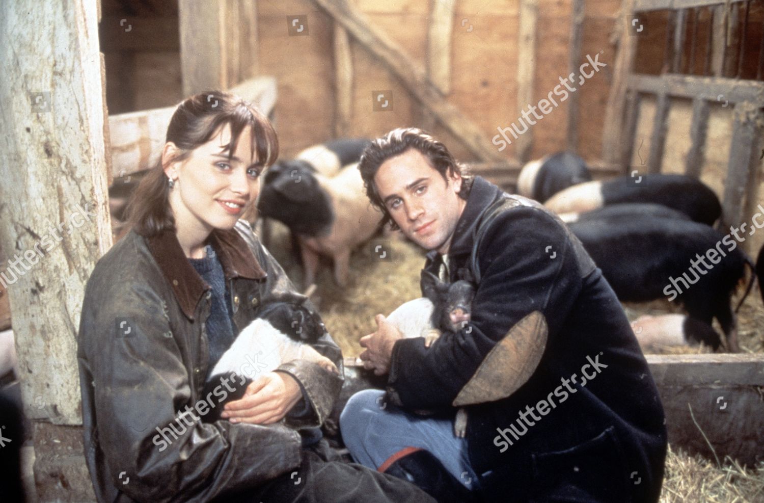 Vacillations Poppy Carew Tv Tara Fitzgerald Editorial Stock Photo ...