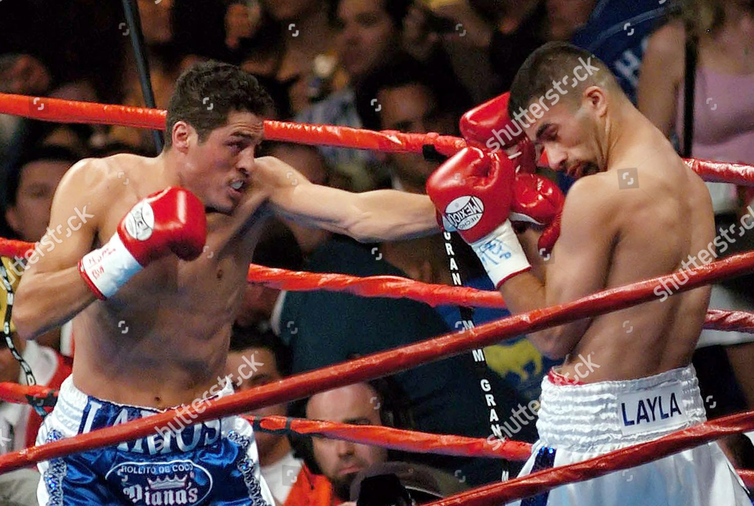 Wold Boxing Council Wbc Cockweigth Champion Editorial Stock Photo ...
