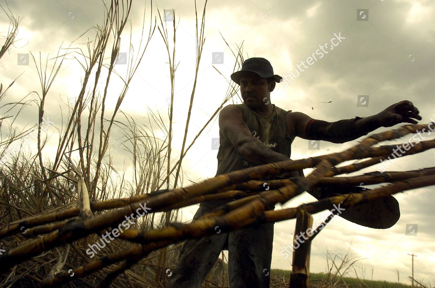 Sugar Cane Cutter Chinandega Nicaragua Friday Editorial Stock Photo ...