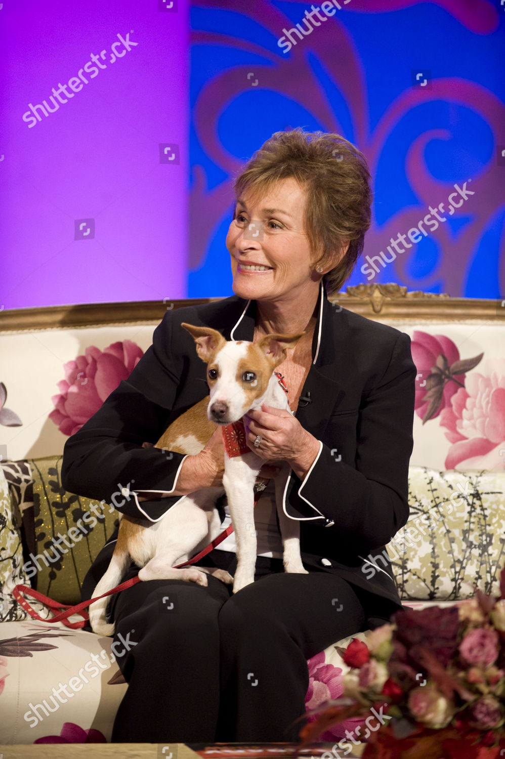 Judge Judy Aka Judith Sheindlin Dog Editorial Stock Photo - Stock Image ...
