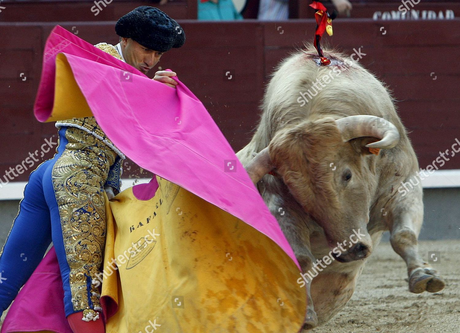 Matador Rafael Rubio Rafaelillo Challenges His Editorial Stock Photo ...