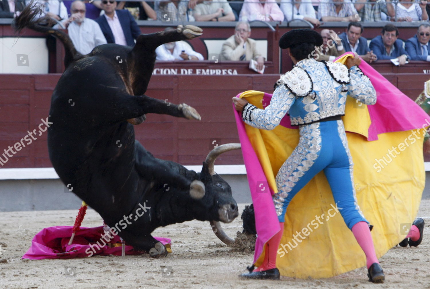 Bull Turns Upsidedown Upon Goring Banderillero Editorial Stock Photo ...