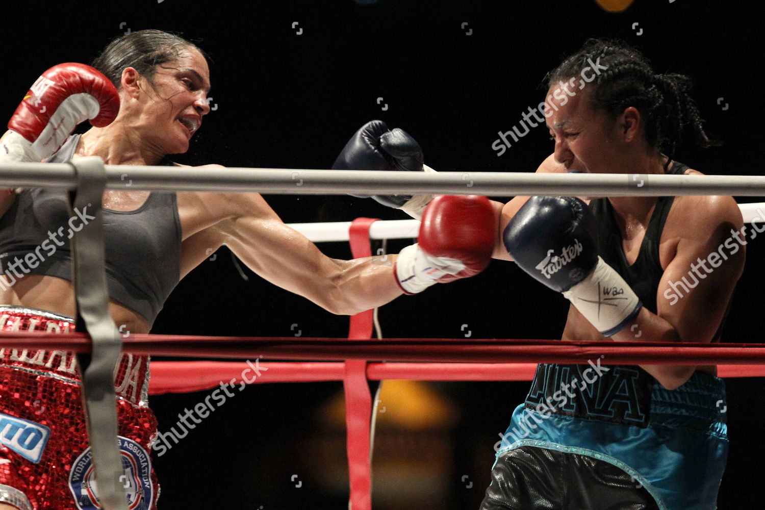 Peruvian Wba Female Super Featherweight World Editorial Stock Photo ...