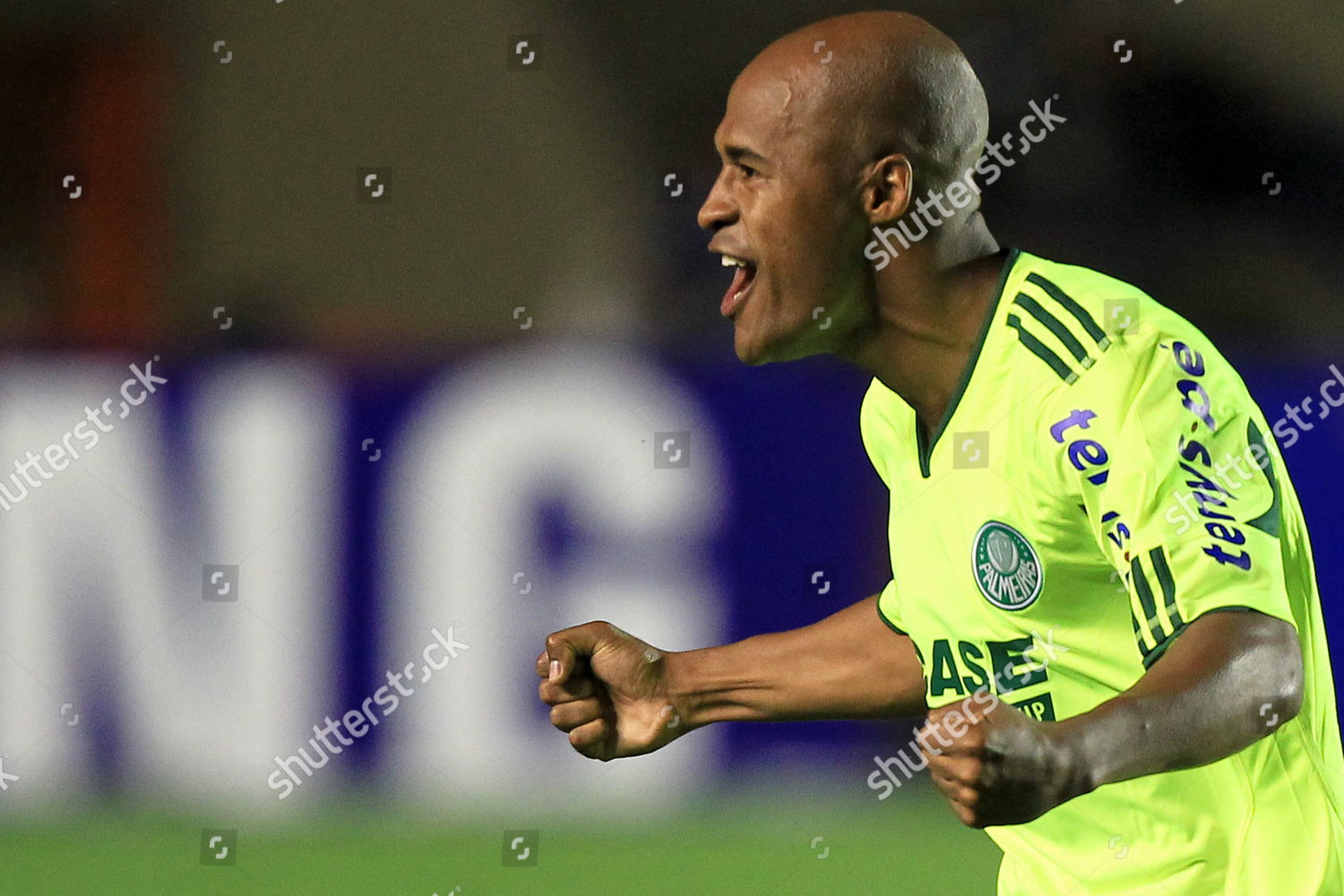 Palmeiras Marcos Assuncao Celebrates Goal Against Editorial Stock Photo ...