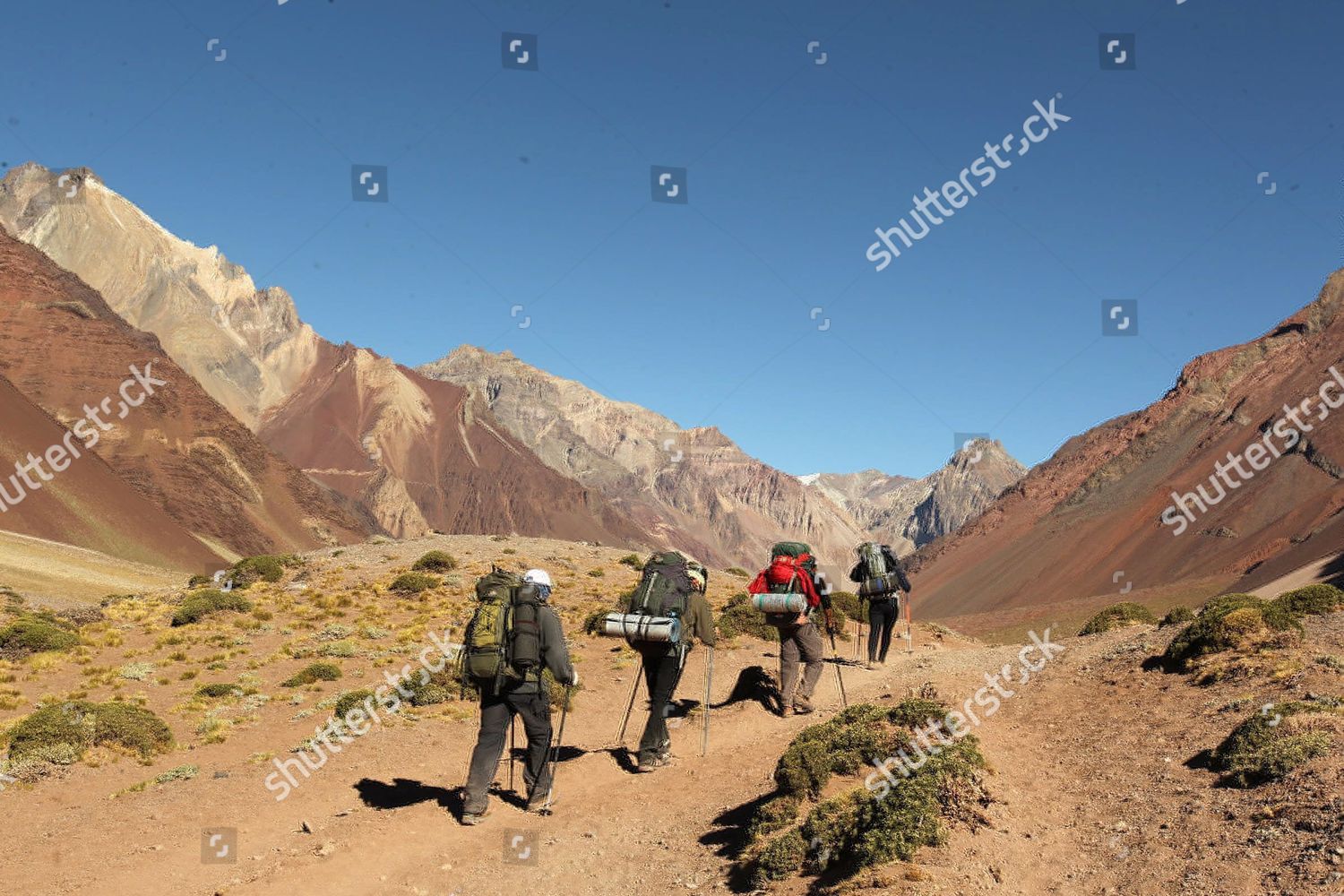 Members Expedition Walk Trough Playa Ancha Editorial Stock Photo ...