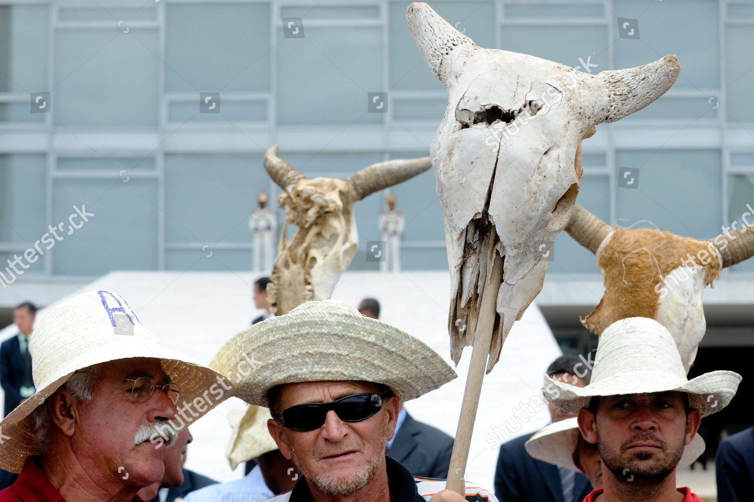 Brazilian Northeastern Farmers Protest Holding Cow Editorial Stock ...