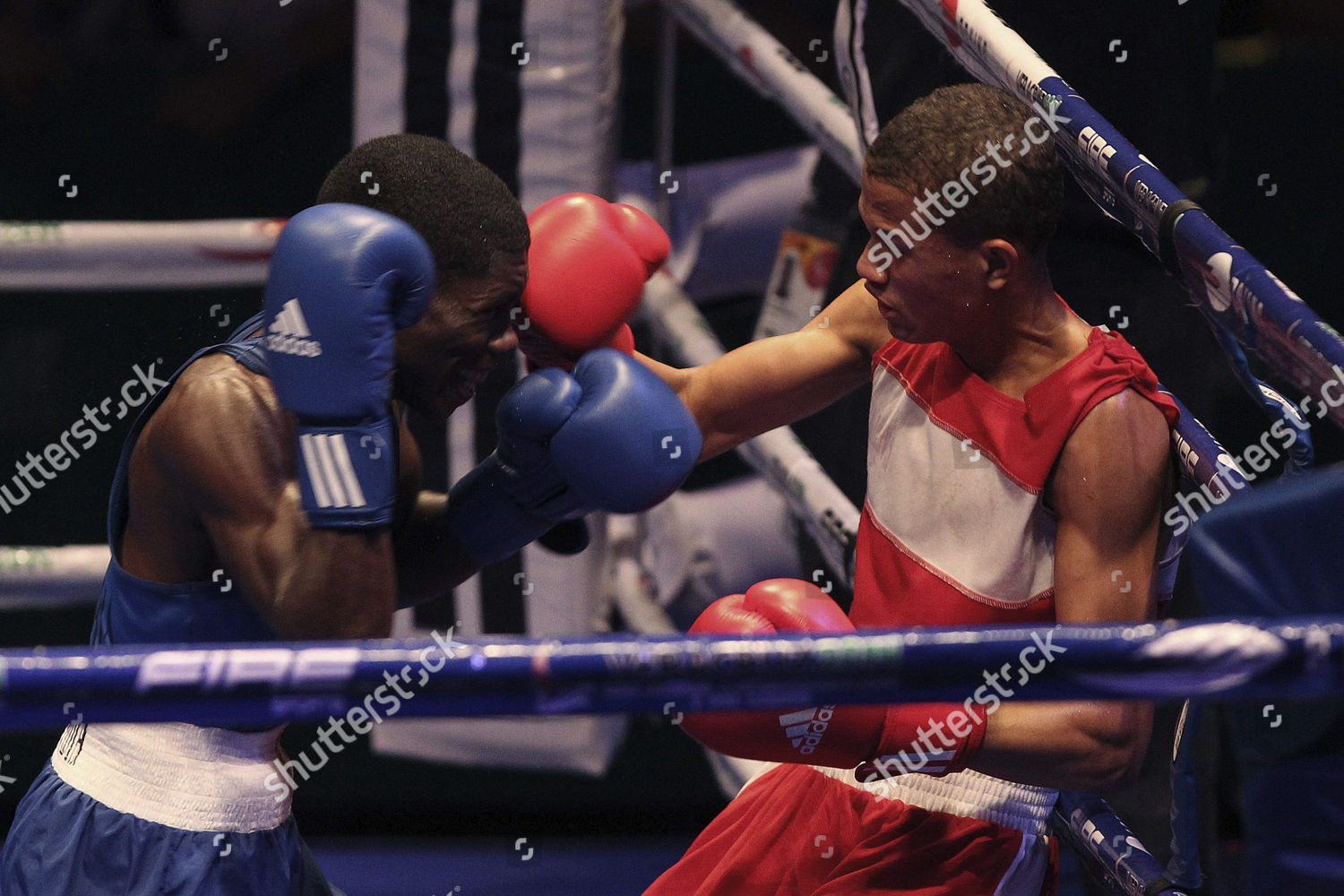 Dominican Boxer Leonel De Los Santos Editorial Stock Photo - Stock ...