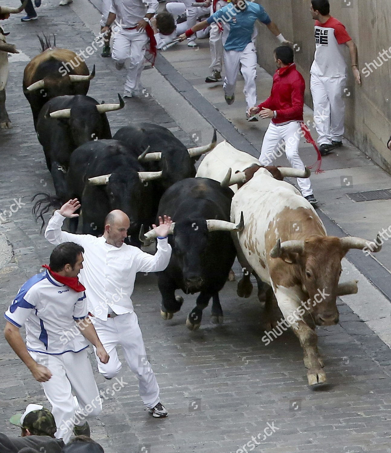 Bulls Run After Mozos Runners During Editorial Stock Photo - Stock ...