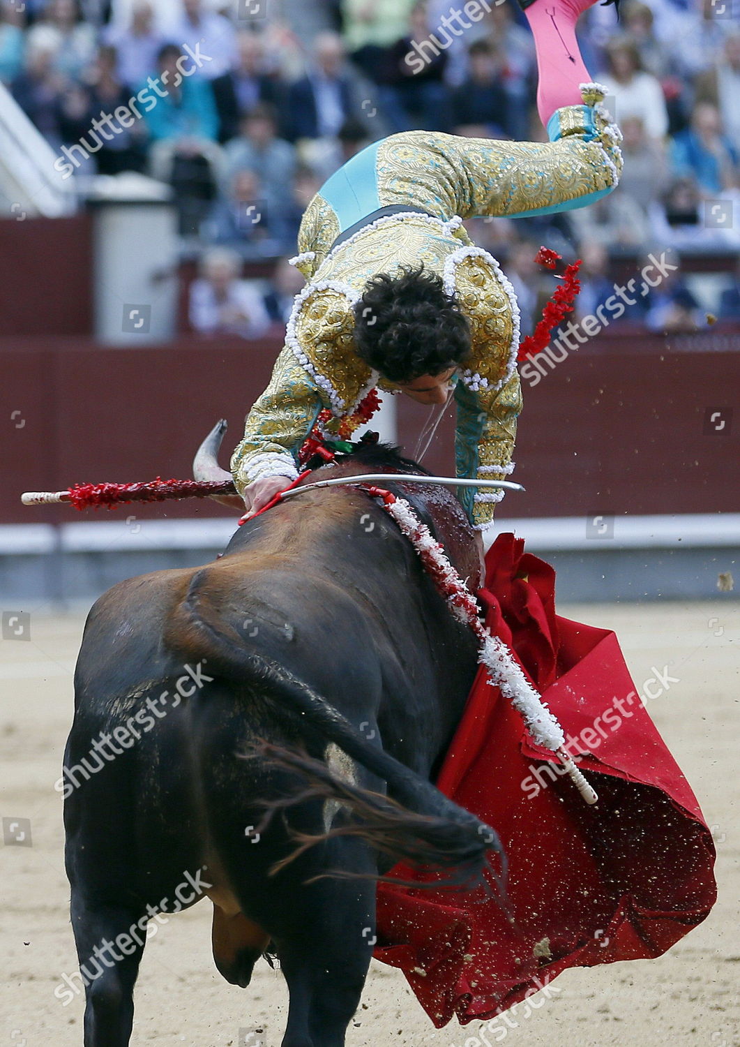 Spanish Apprentice Bullfighter David Martin Escudero Editorial Stock ...