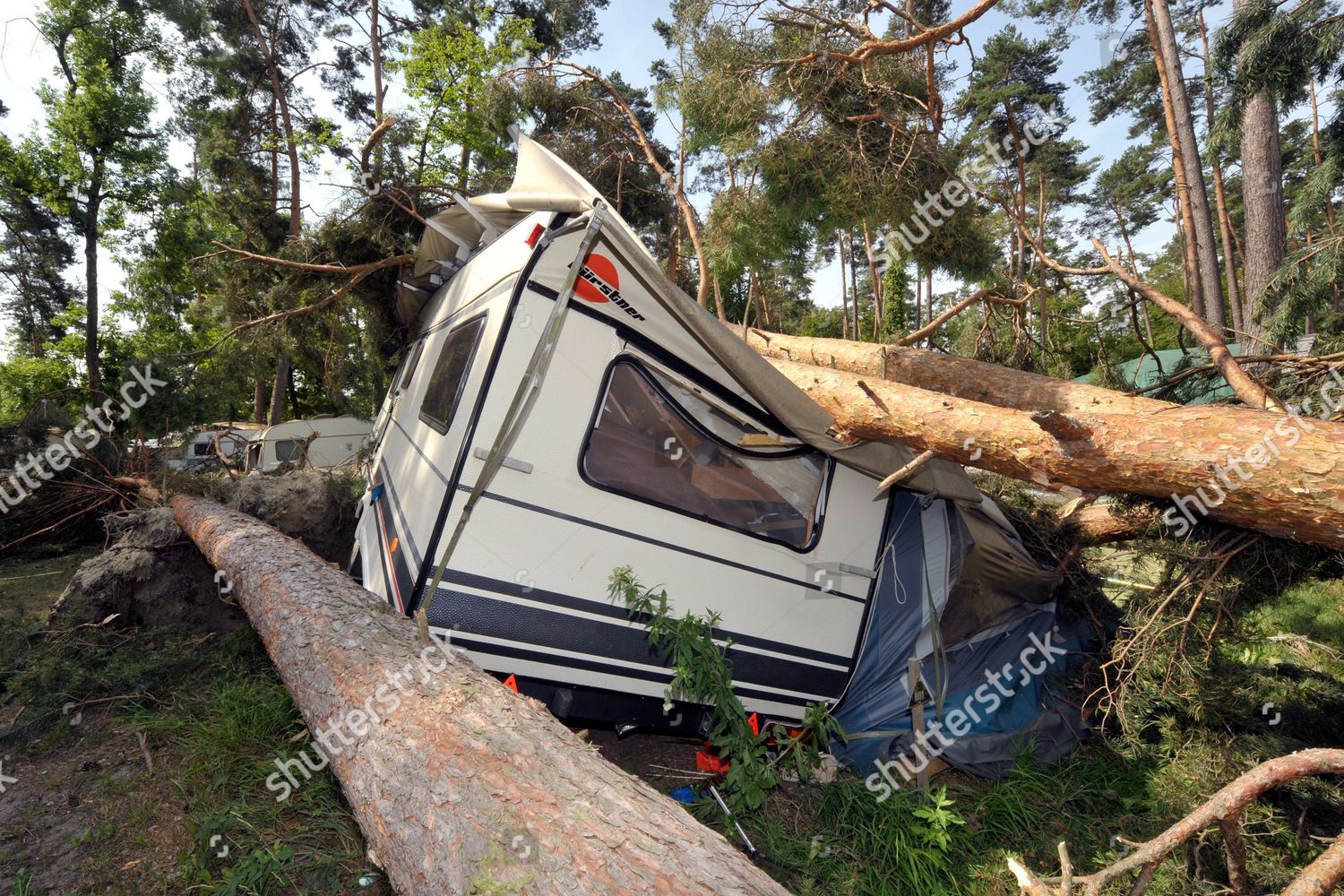 Trailer Crushed By Big Tree Vd8 Editorial Stock Photo - Stock Image ...