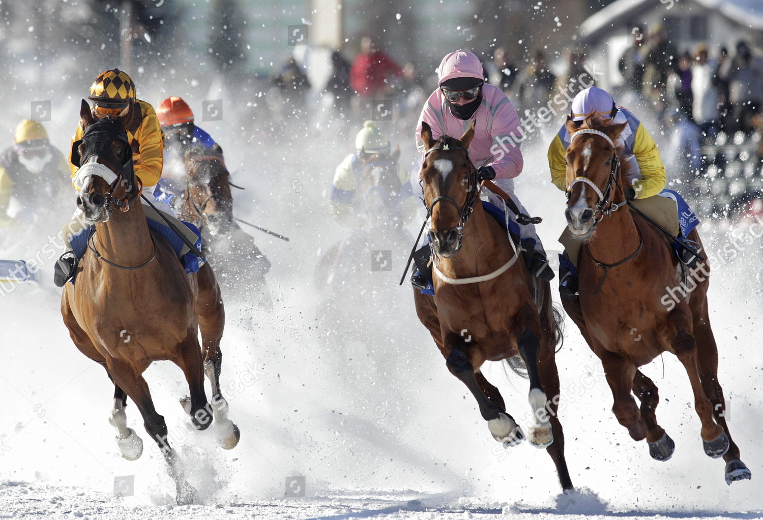 Riders Horses Compete During Grand Prix Editorial Stock Photo - Stock ...
