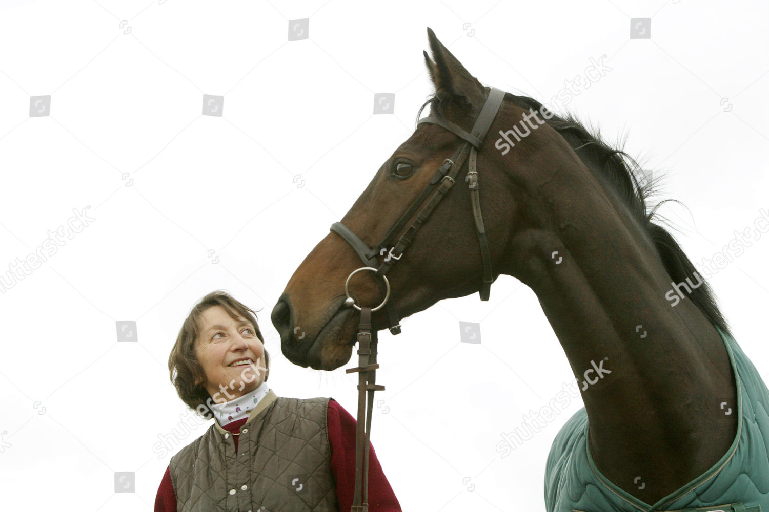 Henrietta Knight Trainer Best Mate Best Editorial Stock Photo - Stock ...