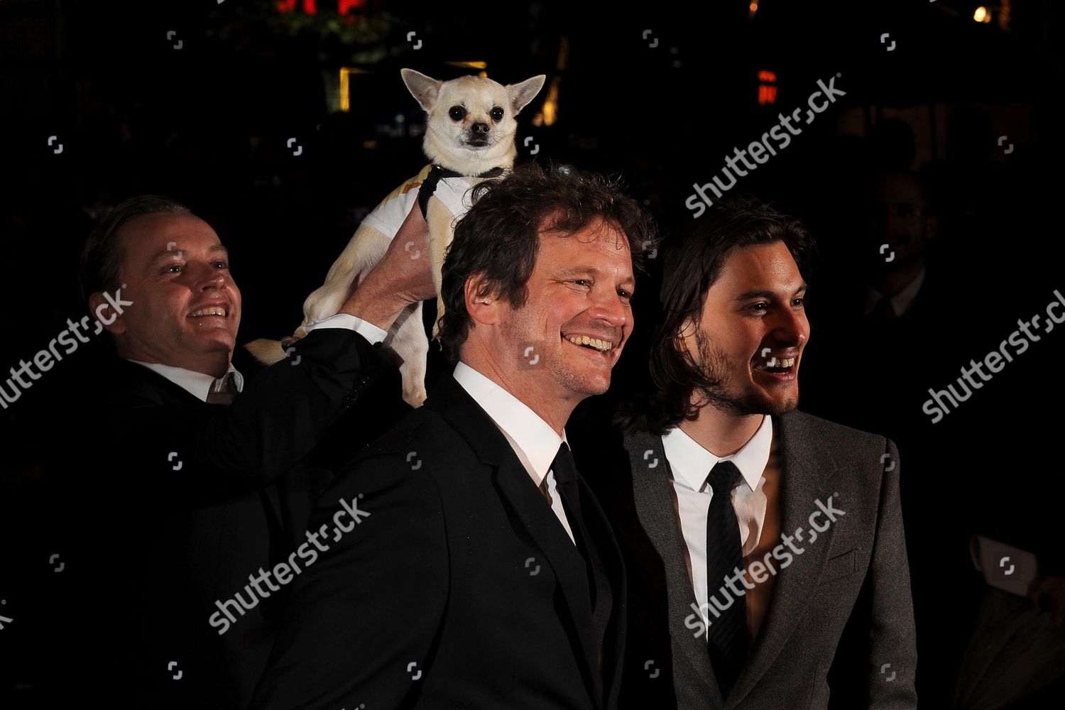 Stephan Elliott Fizz Dog Colin Firth Editorial Stock Photo - Stock ...