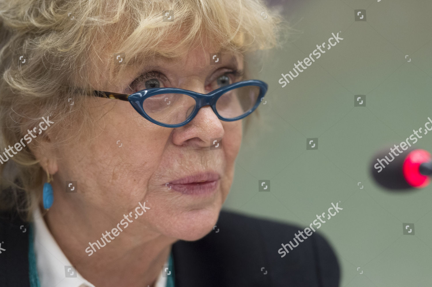 Eva Joly Member European Parliament Former Editorial Stock Photo ...