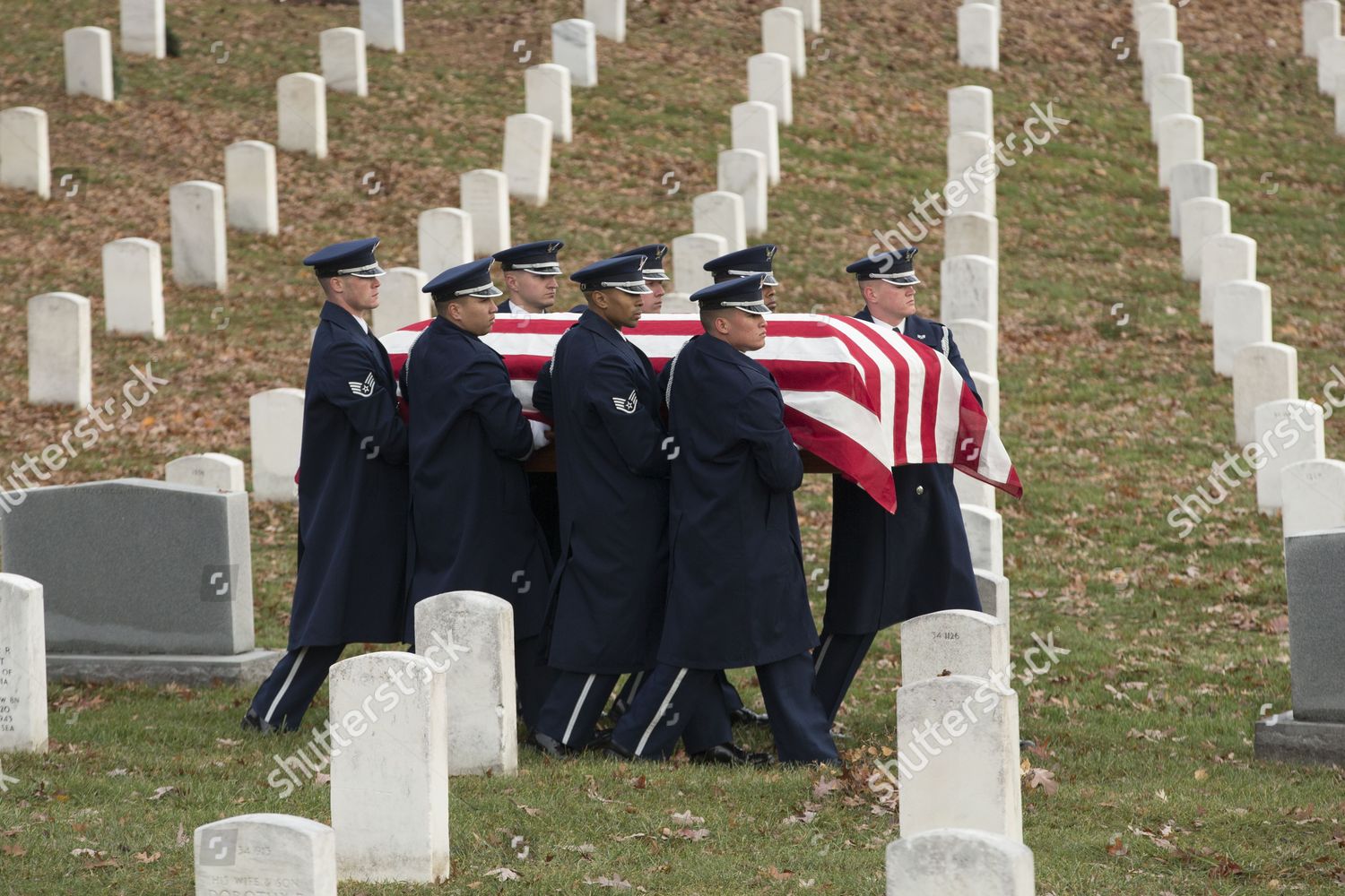 Us Air Force Casket Team Carries Editorial Stock Photo - Stock Image ...