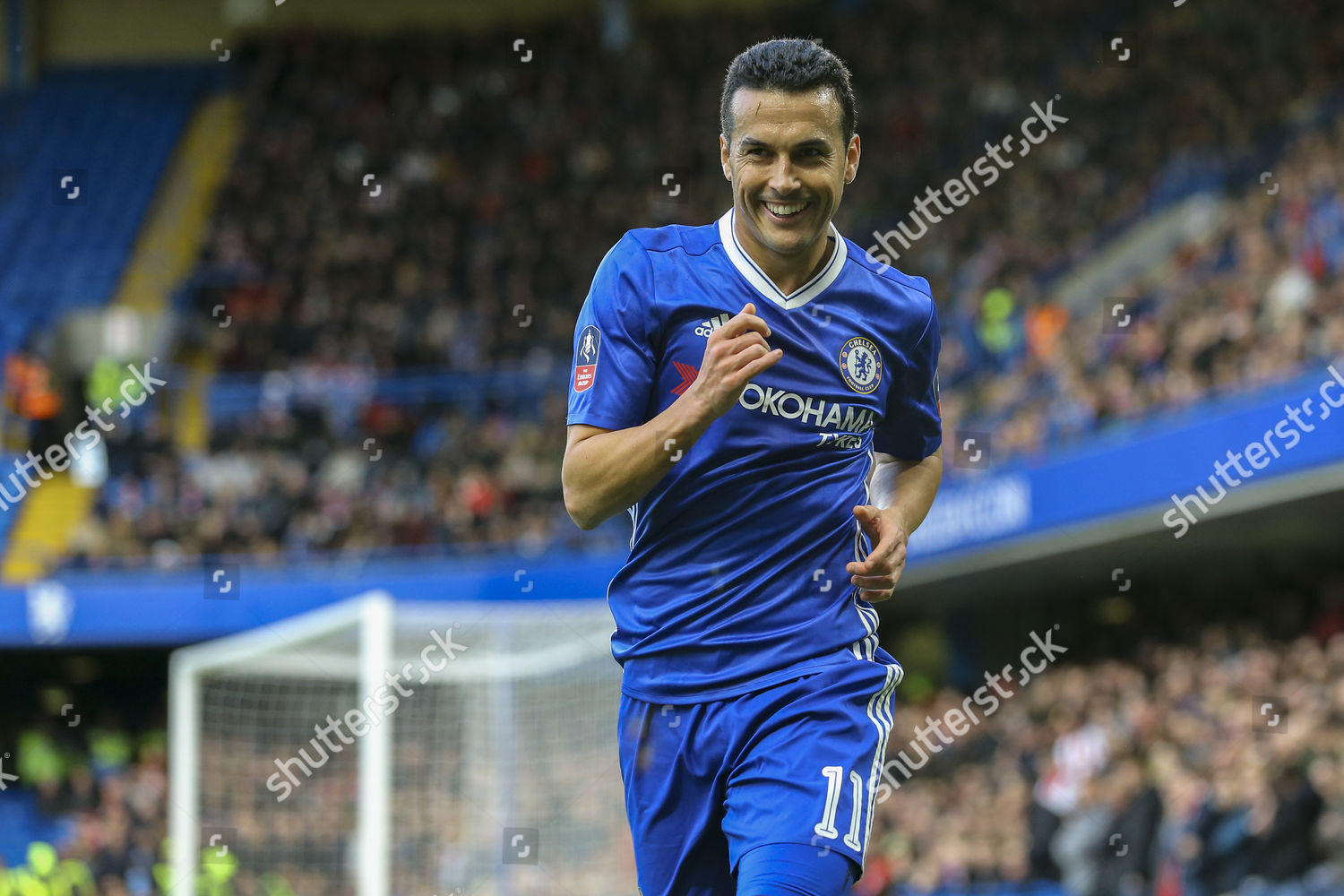 Goal Asmir Begovic Chelsea Scores Chelsea Editorial Stock Photo - Stock ...