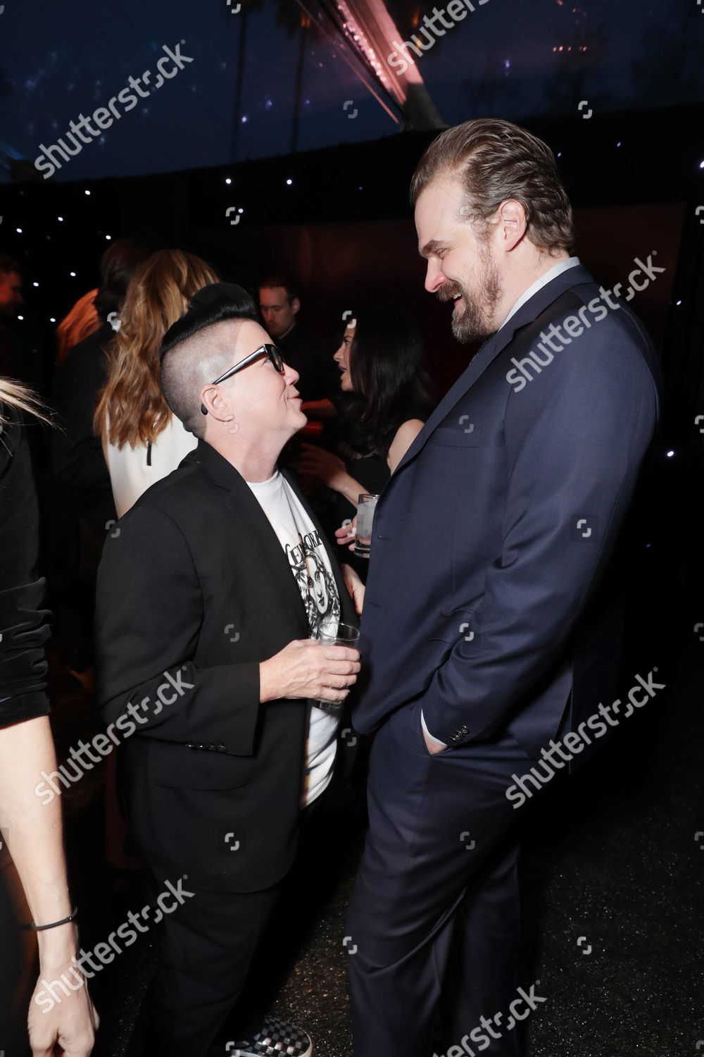 Lea Delaria David Harbour Editorial Stock Photo - Stock Image ...