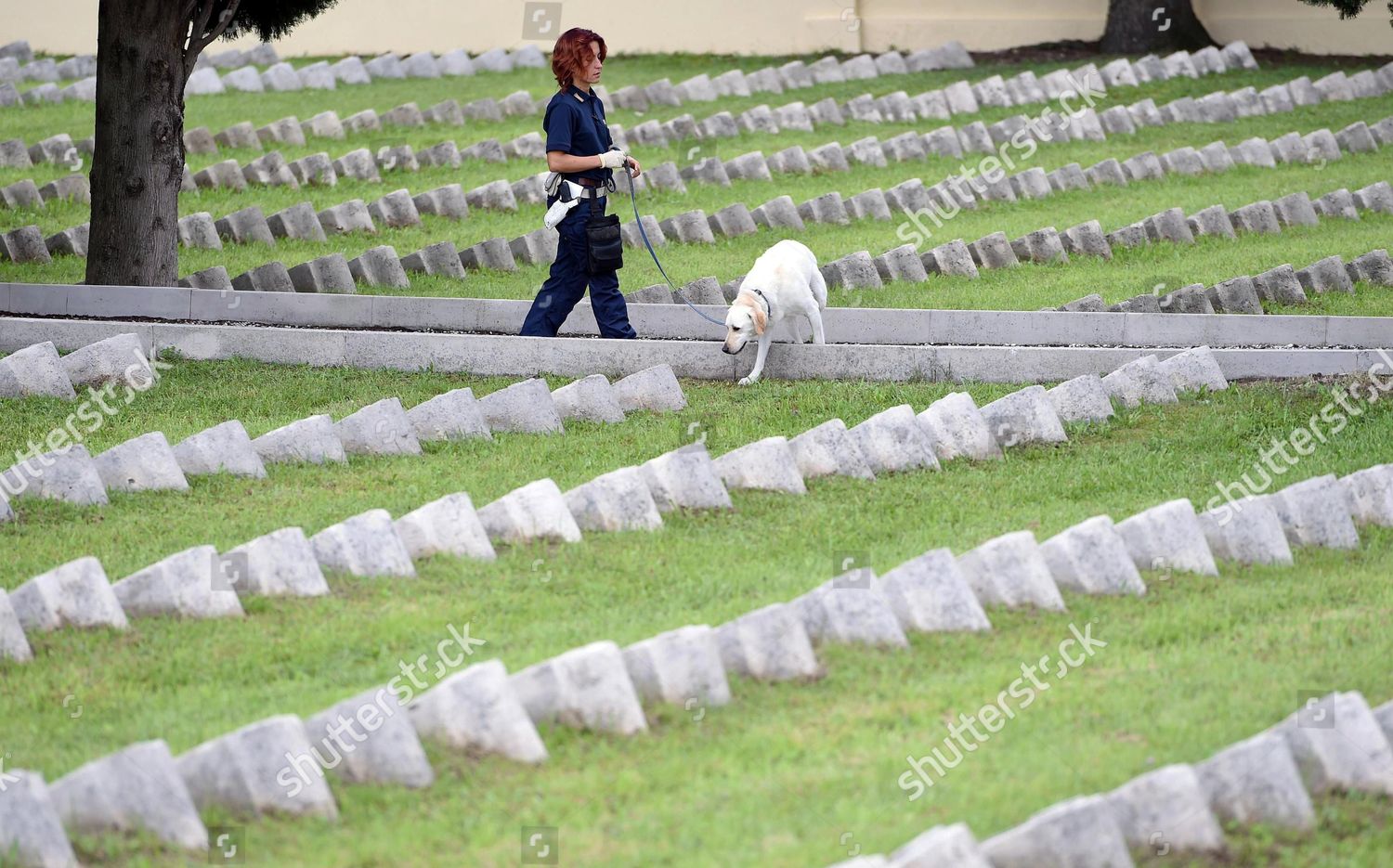 Officer State Police Her Dog Inspect Editorial Stock Photo - Stock ...