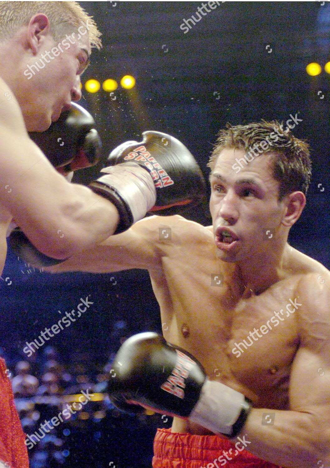 German World Boxing Organisation Middleweight Champion Editorial Stock ...