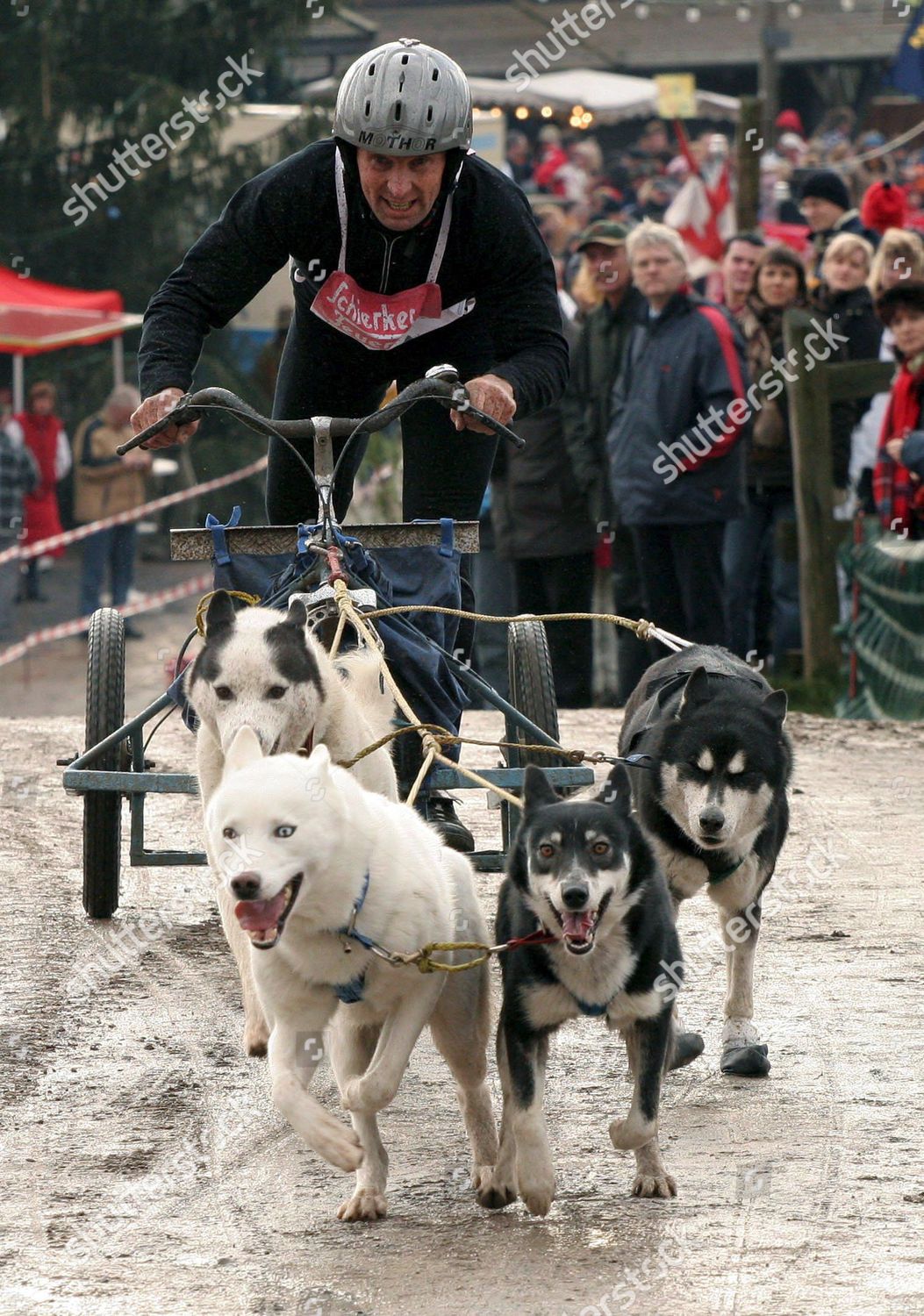 German Musher Goetz Bramowski Races 7th Editorial Stock Photo - Stock ...