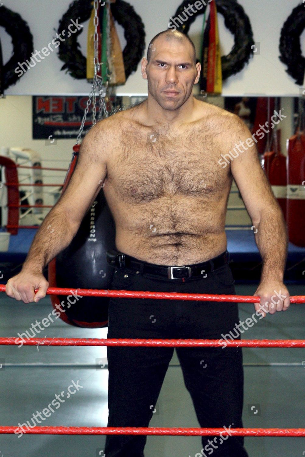 Russian Heavyweight Boxer Current Holder World Editorial Stock Photo ...