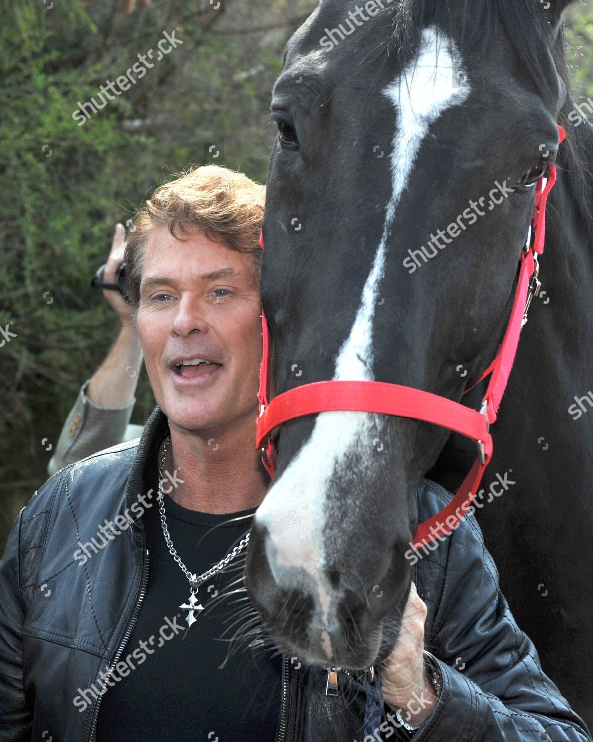 Us Actor Singer David Hasselhoff Animal Editorial Stock Photo - Stock ...