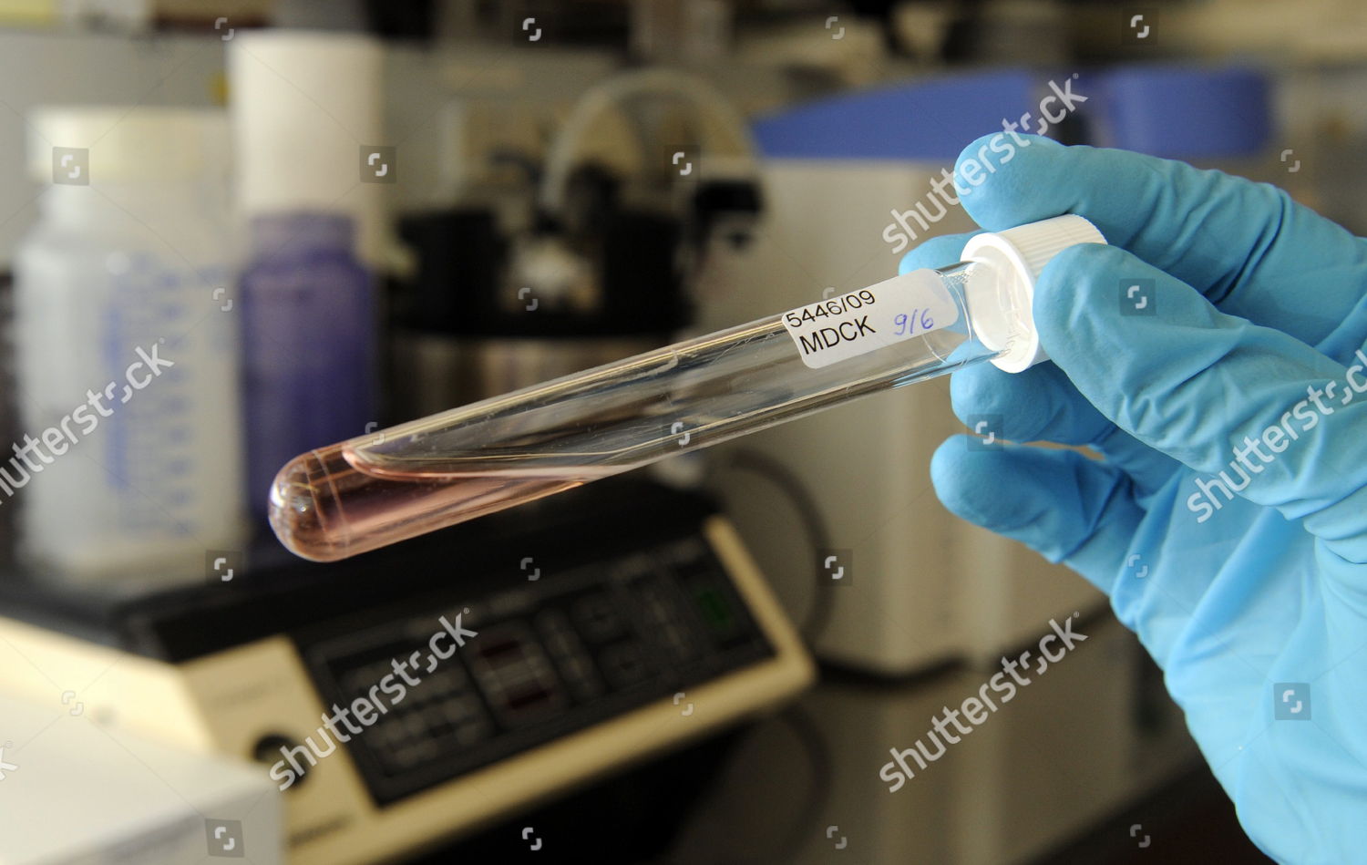 Laboratory Assistant Checks Test Tube Cell Editorial Stock Photo ...
