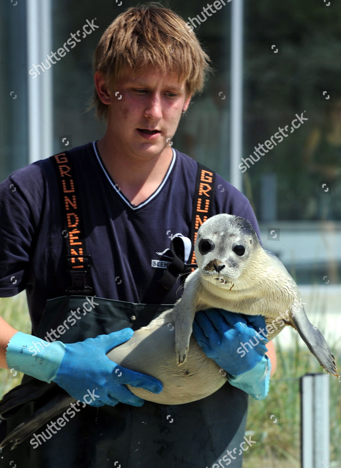 Keeper Tim Fetting Carries One Altogether Editorial Stock Photo - Stock ...