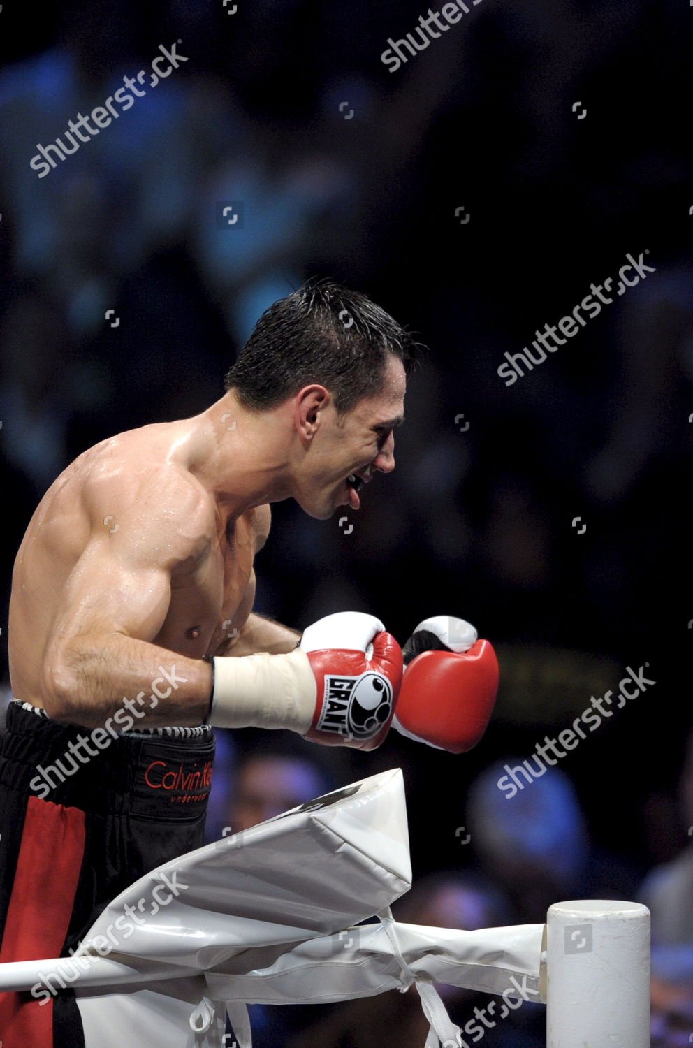 German Boxer Felix Sturm Celebrates After Editorial Stock Photo - Stock ...