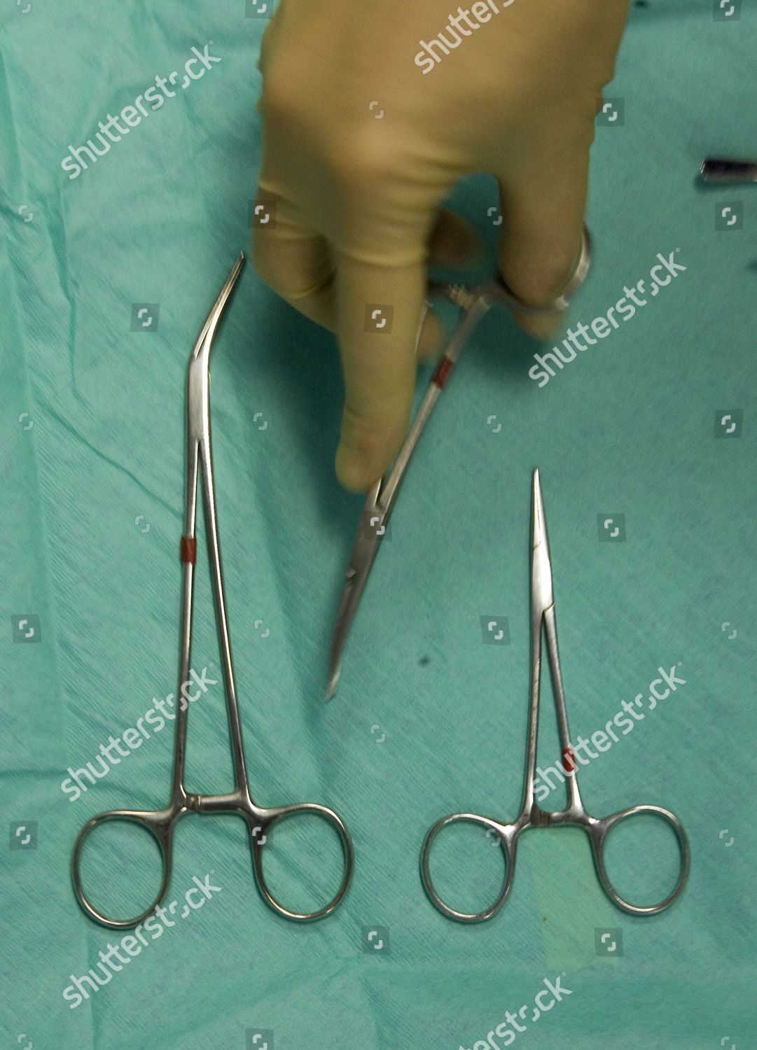 Doctor Picks Surgical Instruments Forceps Lined Editorial Stock Photo ...