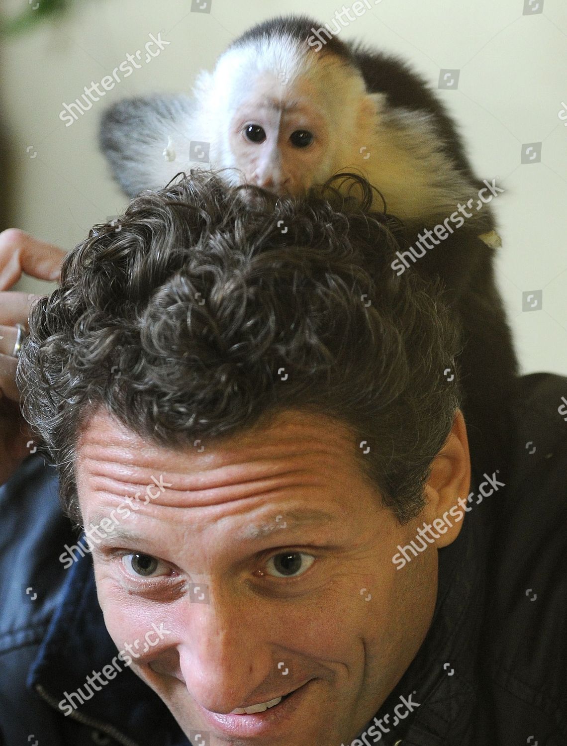 Capuchin Monkey Mally Formerly Owned By Editorial Stock Photo - Stock ...