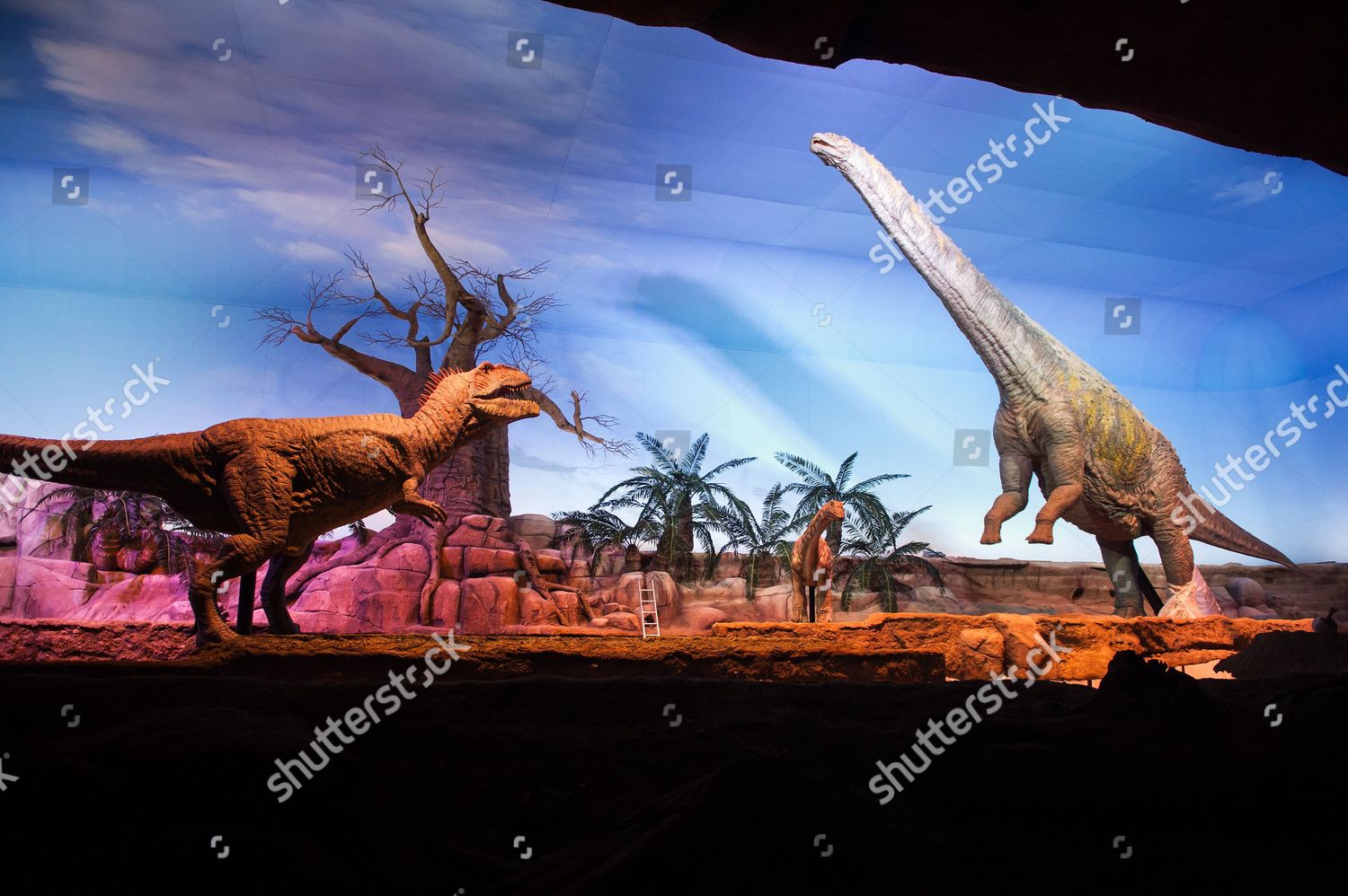 Two Dinosaurs Pictured During Animated Dino Editorial Stock Photo ...