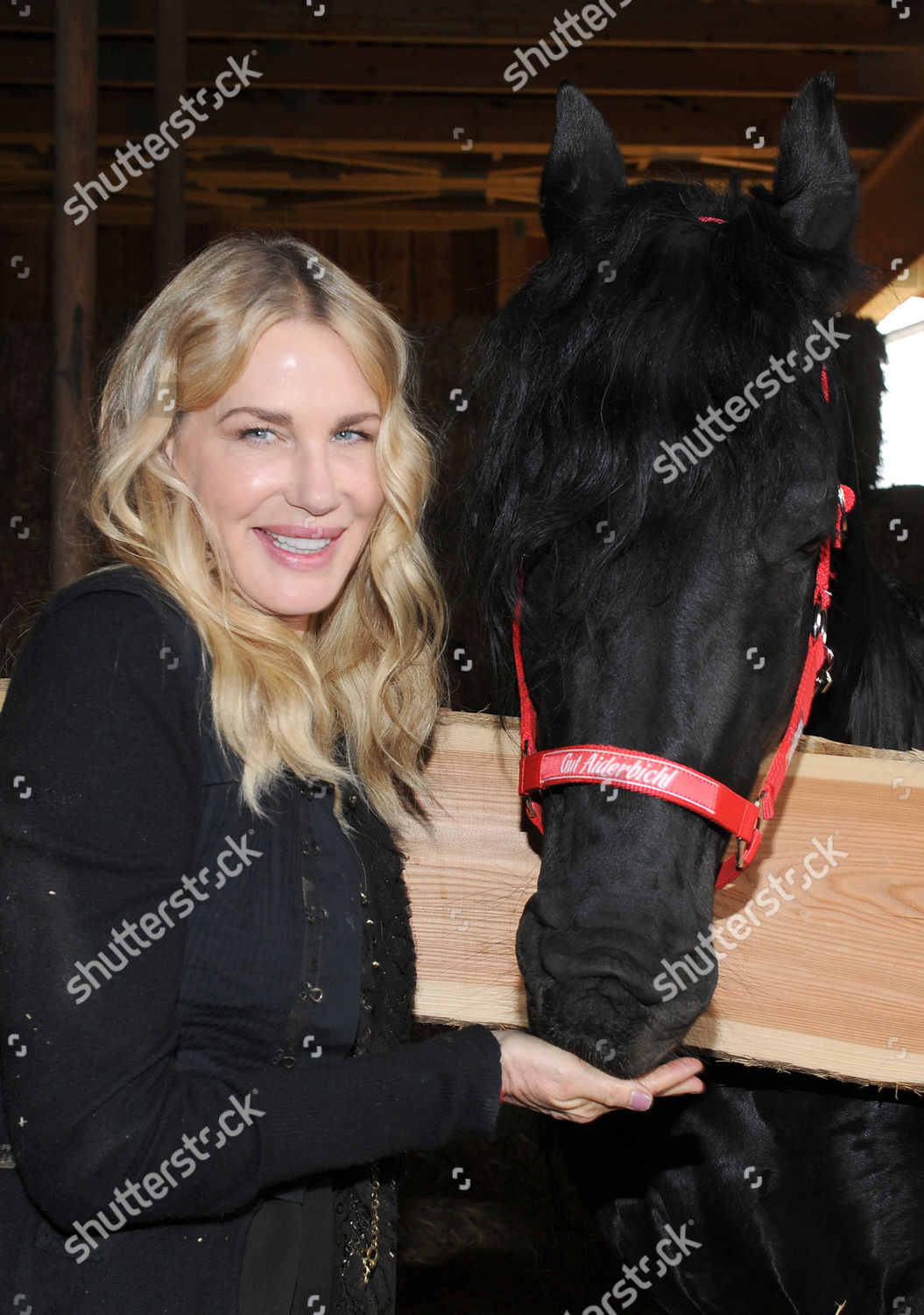 Us Actress Daryl Hannah Poses Horse Editorial Stock Photo - Stock Image ...